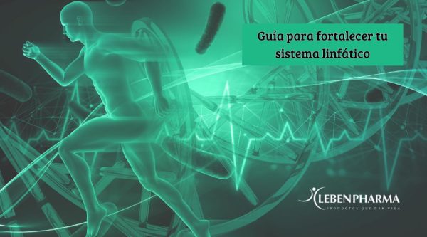 Guía de cuidados del sistema linfático - Farmacia Homeopática Lebenpharma